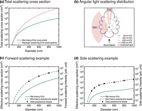 Application Of Mie Theory Calculations For Flow Cytometry Measurements
