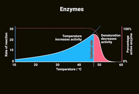 Enzyme Graph