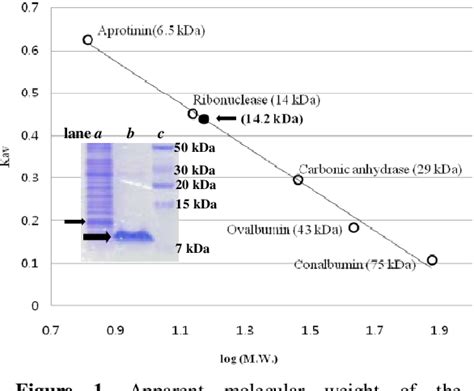 Figure 1 From Intrinsically Disordered Fold Of A Pias1 Binding Domain