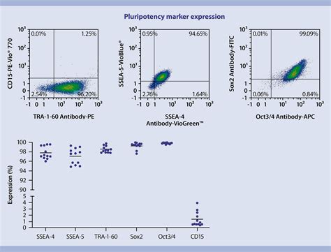 Human Ips Cells Human Embryonic Stem Cells Miltenyi Biotec