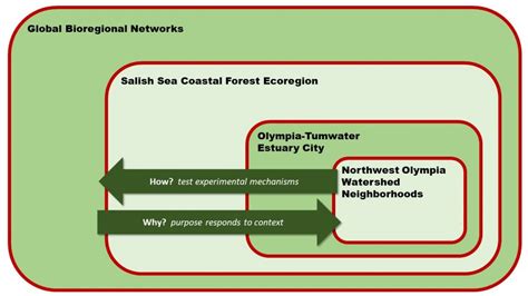 Update 5 2021 Springtime The Ecosystem Guild