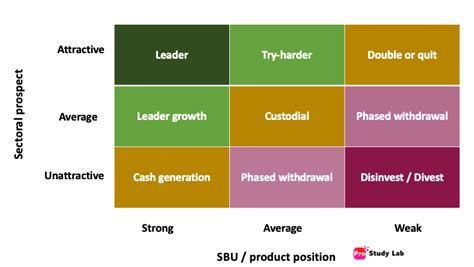 Shells Directional Policy Matrix Dpm