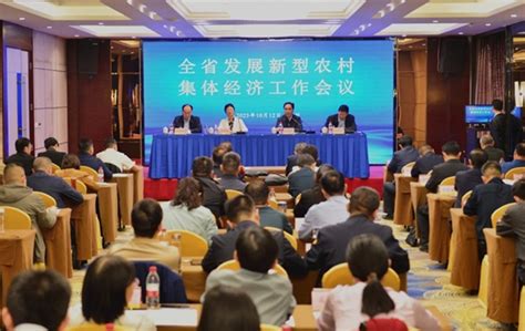 全省发展新型农村集体经济工作会议在郑州召开 三农快讯 信阳市农业农村局