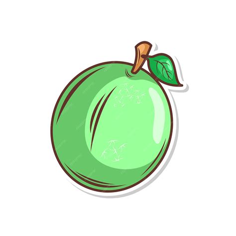 Premium Vector Melon Fruit Doodle Cartoon Hand Draw Illustration Art