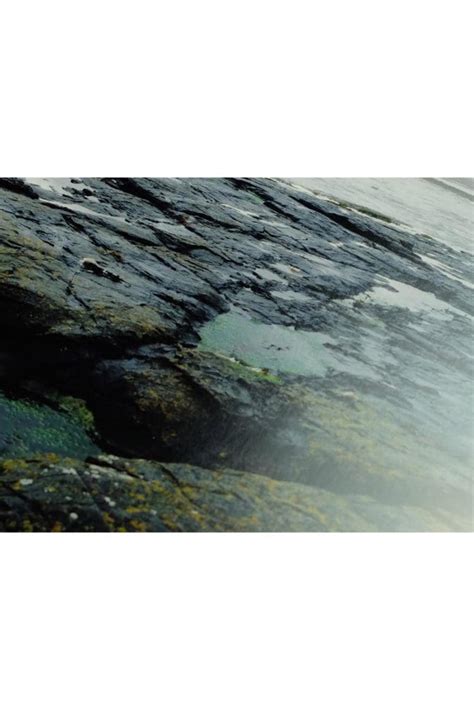 Value Professional C Type Prints From Film Ag Photolab
