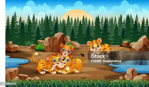 들판에서 노는 호랑이와 사자 가족 구멍에 대한 스톡 벡터 아트 및 기타 이미지 구멍 날씨 놀기 Istock