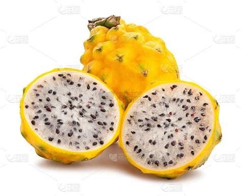 黄火龙果pitahaya素材 花瓣网