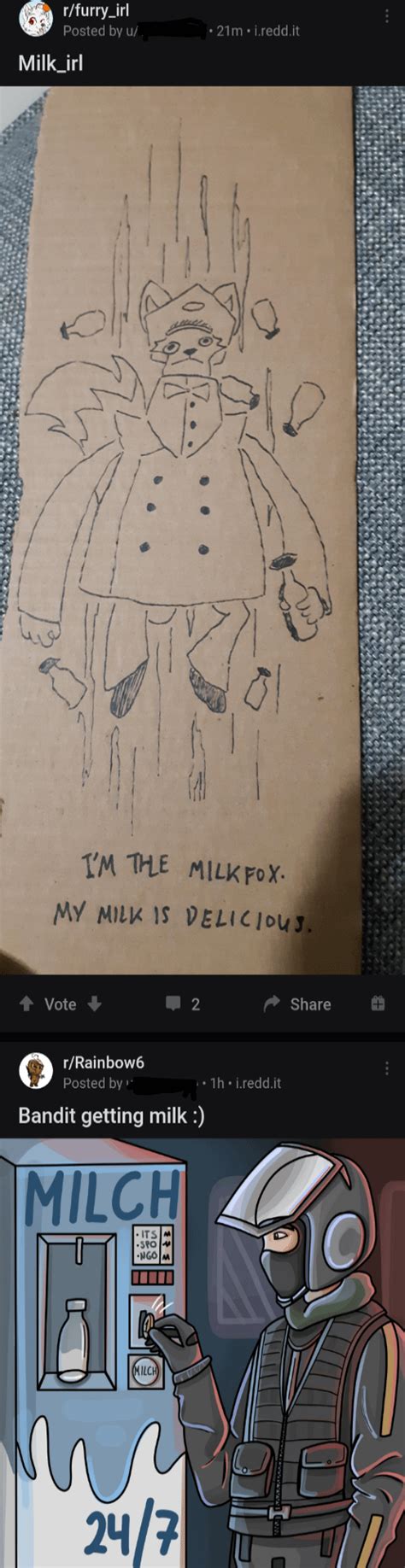 Siege Irl R Furry Irl