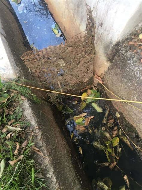 Longkang Rumah Tersumbat Dek Kerana Jiran Jom Tanya Peguam