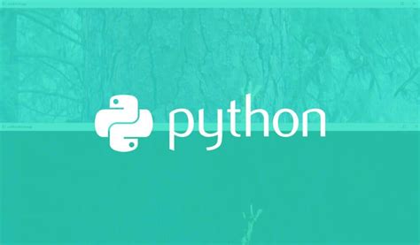 Zenva On Linkedin Intro To Numpy With Opencv