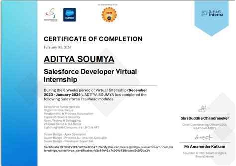 Aditya Soumya On Linkedin Salesforce Aicte Aicteinternship Smartbridge Smartinternz