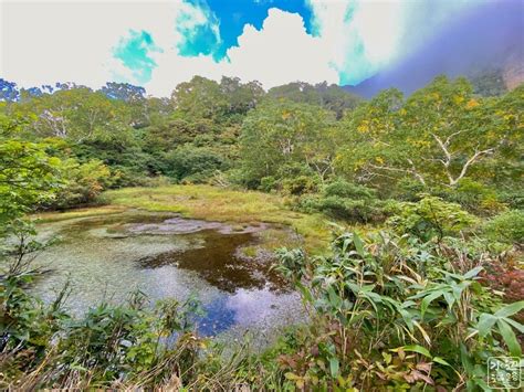 光善寺池新潟県妙高 水辺遍路