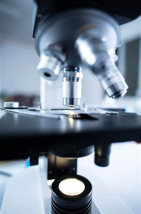 Empowering Future Scholars In Particle Physics Detection A Path To