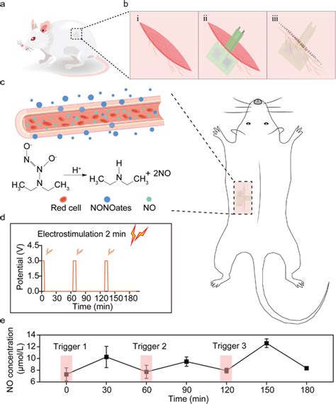 Pulsatile Release Of Drugs In The Body A Schematic Illustration Of