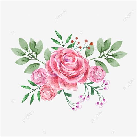 Ramo De Rosas Pintadas A Mano En Acuarela PNG Dibujos Flor Flores