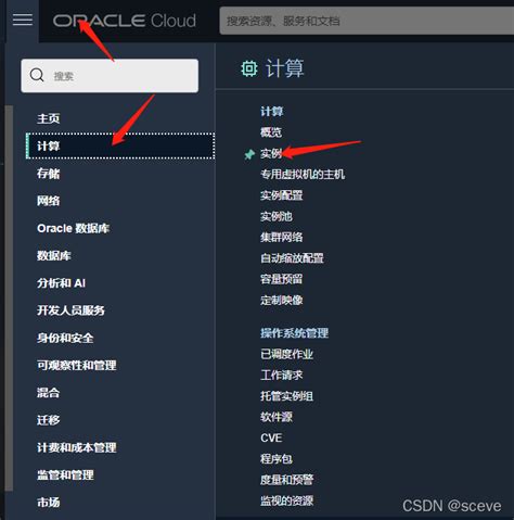 Oracle Cloud甲骨文云服务器白拿指南 创建实例 Ping通过 Ssh链接甲骨文云创建实例 Csdn博客