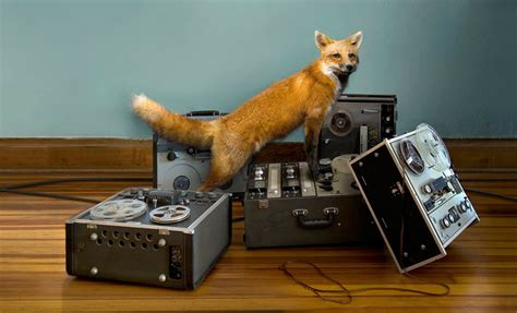 Todd Baxter File Magazine