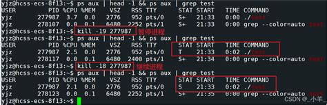 【linux系统】os、进程pcb、状态、进程的切换和调度,虚拟地址空间 Csdn博客 【linux系统】os、进程pcb、状态、进程的切换和调度,虚拟地址空间 Csdn博客