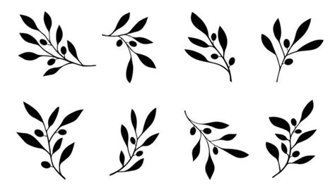 Olive Branch Photoshop Illustrator