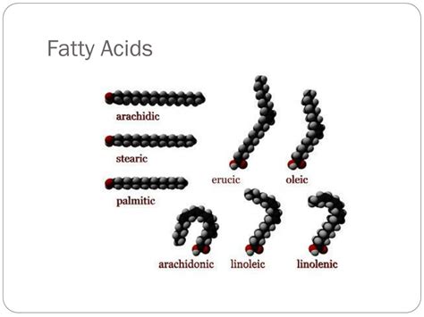 Ppt Introduction To Oil Chemistry And Transesterification Powerpoint