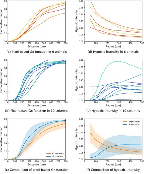 Figure 1 From Quantification Of Hypoxic Regions Distant From Occlusions In Cerebral Penetrating