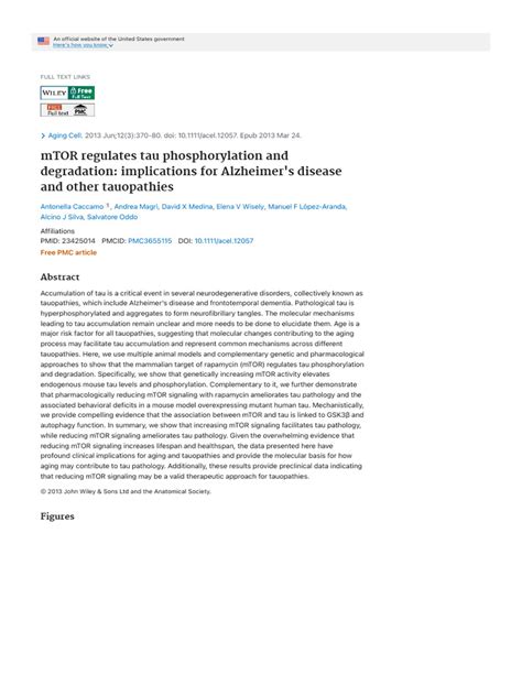 Mtor Regulates Tau Phosphorylation And Degradation Implications For