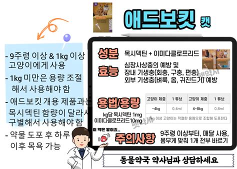 고양이 심장사상충약 종류 사용방법 부작용 가격 레볼루션 애드보킷 브로드라인 폴리캅 캐치원 임팩트 등