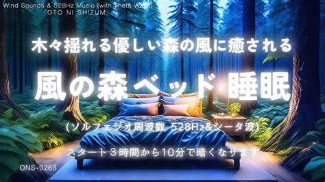 【睡眠用bgm・風の音 睡眠・睡眠導入】森の風に涼しく癒され眠る 風の森 睡眠 528hz 本物 音叉 自然音 シータ波 睡眠 眠れる