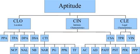 Structure Of The Apt Model Download Scientific Diagram
