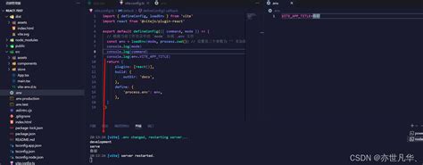 React 》如何高效管理前端环境变量：开发与生产环境配置详解react Processenv Csdn博客