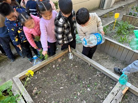 一2中队3月新闻一米菜园活动 太仓市朱棣文小学