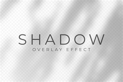 그림자 오버레이 효과 식물 가지 나뭇잎 및 잎에서 투명하고 부드러운 빛과 그림자 추상적인 투명한 그림자 오버레이 효과와 자연스러운 번개 장면의 모형 그림자에 대한 스톡 벡터