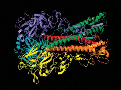 Research Brief The Lancet Infectious Diseases