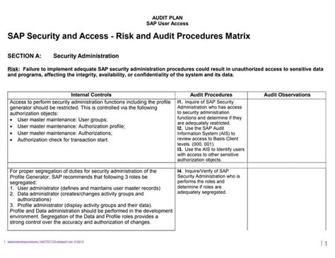 Sap Access Risks Procedures Doc