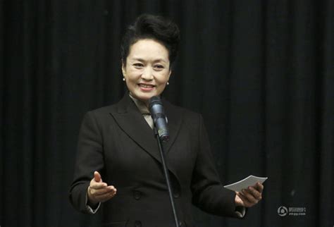 彭丽媛参观福提斯米尔中学国际新闻环球网