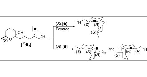 Monooxygenase Stereoselectivity In The Biosynthesis Of Stereoisomeric