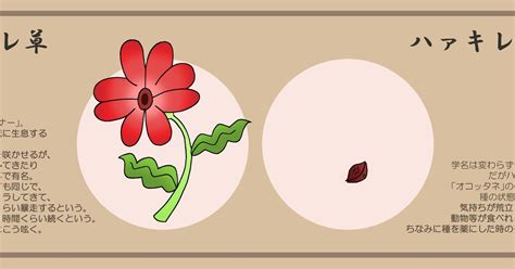 Pixivファンタジアsoz 【pfsoz】ハァキレ草とその種【植物】 カンナ卿＠いつもののイラスト Pixiv
