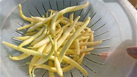 අපේ බෝංචි අස්වැන්න Youtube