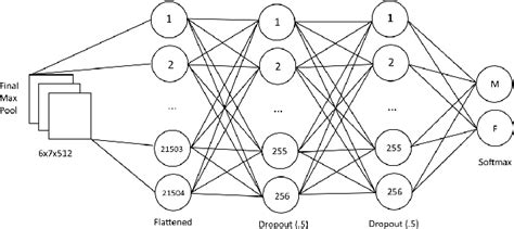 Figure 2 From Transfer Learning With Deep Cnns For Gender Recognition