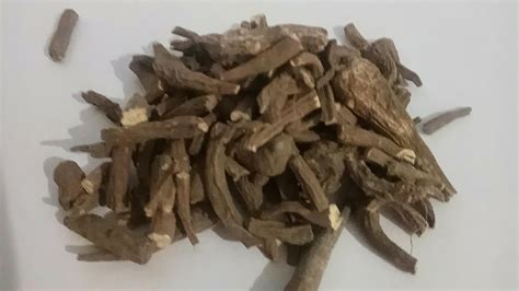 一支蒿图片 一枝蒿的图片 蒿蒿棵图片 大山谷图库