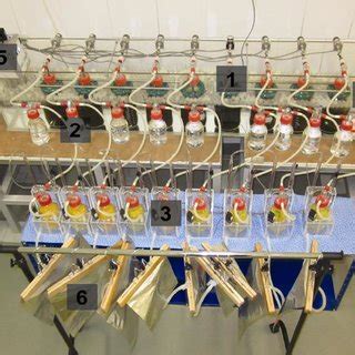 Picture Of One BatchLab Setup Including Units It Consists Of Download Scientific Diagram