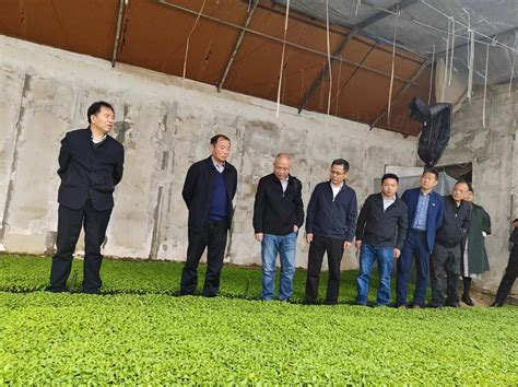 湖南农业大学乡村振兴中心新农村发展研究院乡村振兴战略研究院 基地掠影