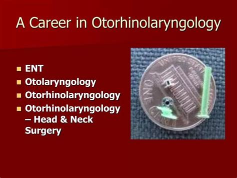 PPT A Career In Otorhinolaryngology PowerPoint Presentation Free