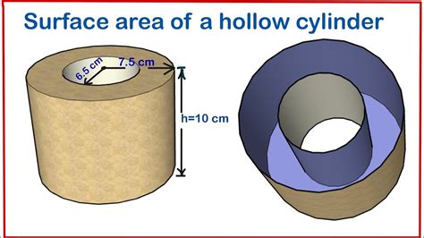 Cylindrical Hollow Shape At Caitlyn Tooth Blog