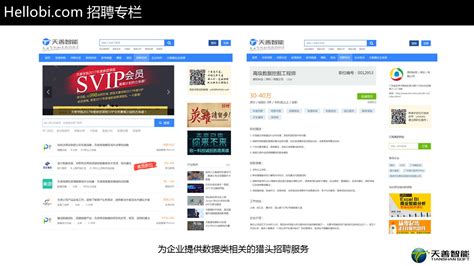 数据之美 Ppt分享 3月25日天善智能大数据沙龙上海站 天善智能篇 天善智能：专注于商业智能bi和数据分析、大数据领域的垂直社区平台