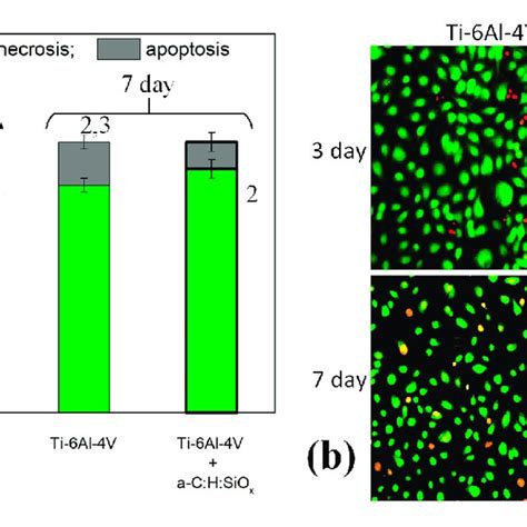 Eahy926 Cell Distribution Maps On Substrates A T1 Surface B T2