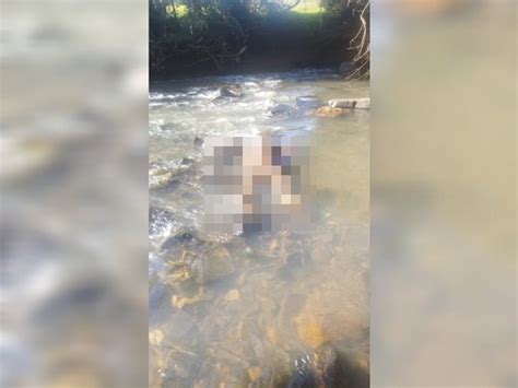 Corpo De Homem é Encontrado Em Rio Pp News Fb