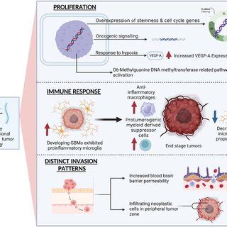 The Utility Of Single Cell RNA Sequencing In Understanding Tumour Download Scientific Diagram