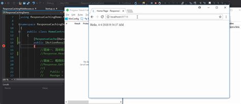 Asp Net Core Responsecaching Catcher