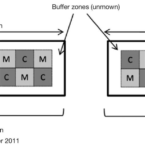 Schematic Representation Of The Field Experiment Représentation